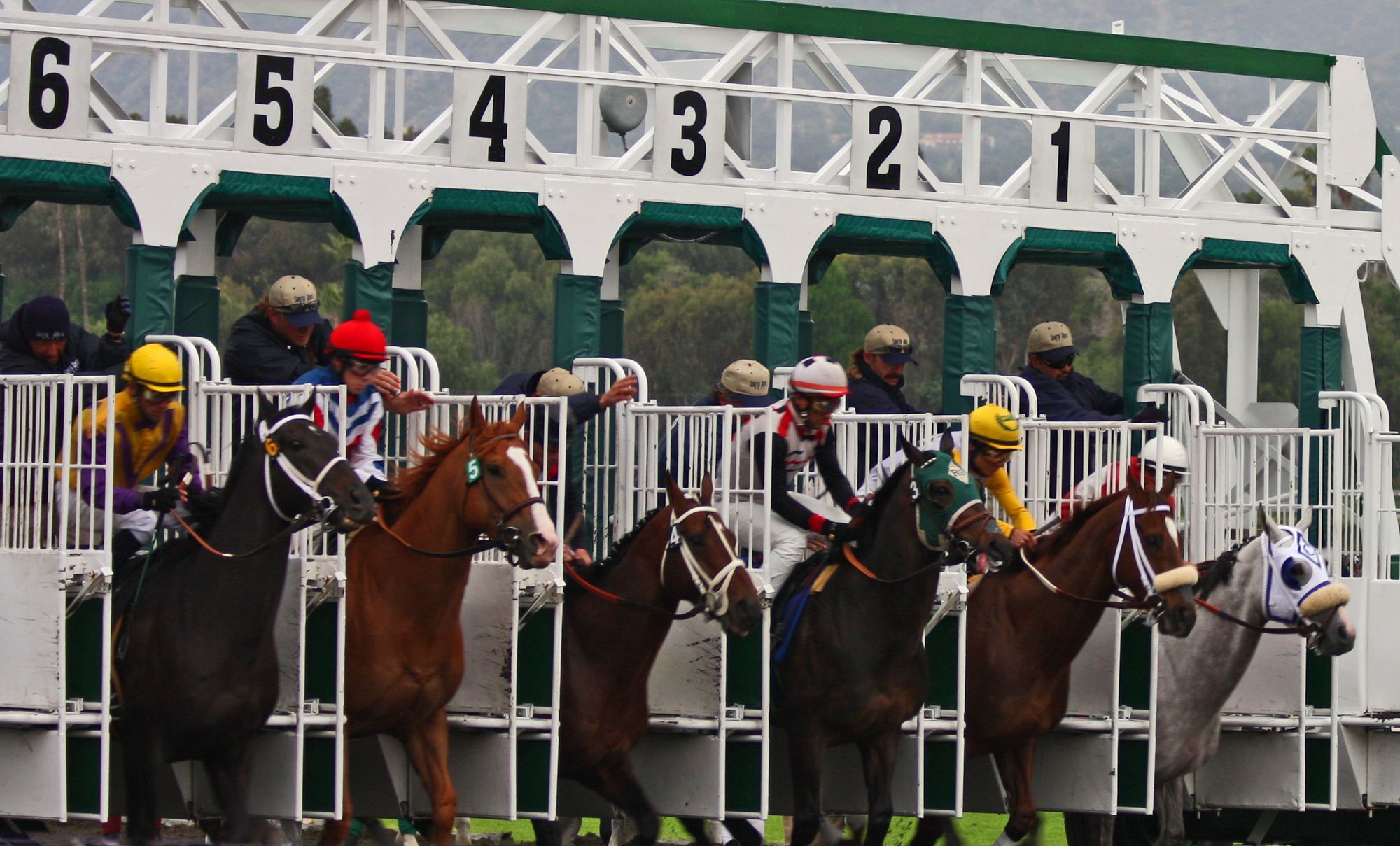Analyzing the Features of Online Horse Betting Software: A ...