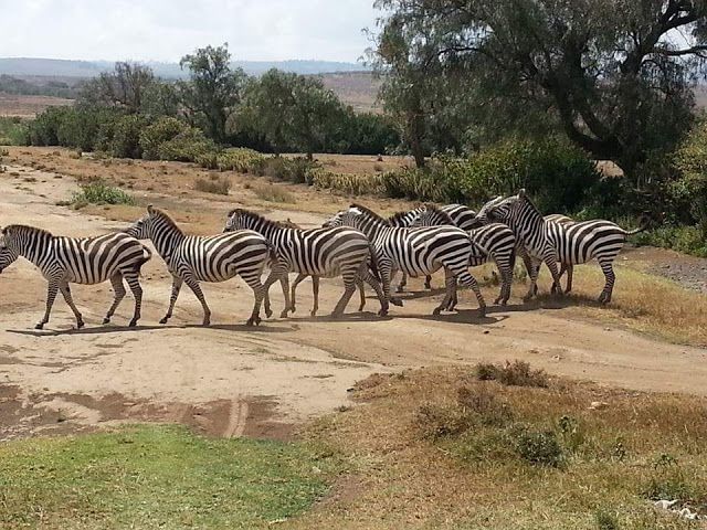 Tembea Kenya: Promoting Tourism Among Locals