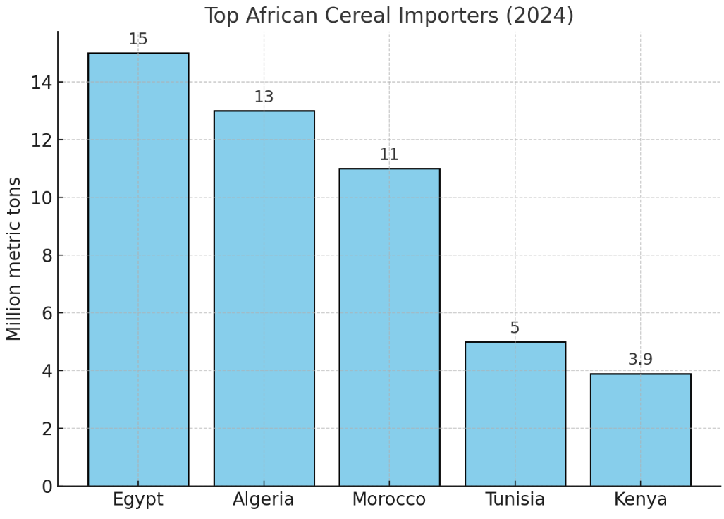 African Grain Market Report: Key Insights, Growth Drivers & Forecast
