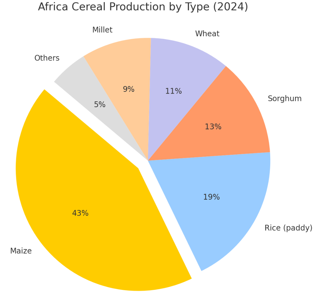 African Grain Market Report: Key Insights, Growth Drivers & Forecast