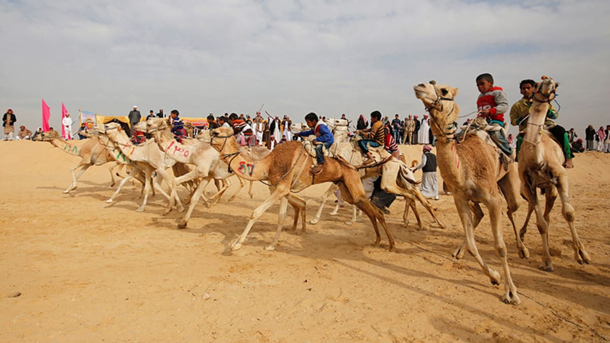 Top 10 Most Unusual Traditional Sports Played in Africa