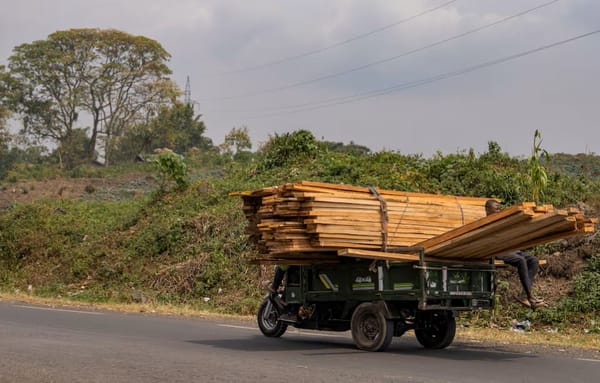 Conflict-Driven Deforestation Devastates Mount Nyiragongo Slopes in DRC Conflict-Driven Deforestation Devastates Mount Nyiragongo Slopes in DRC